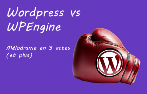WP Pour les Nuls - Guide WordPress pour débutants